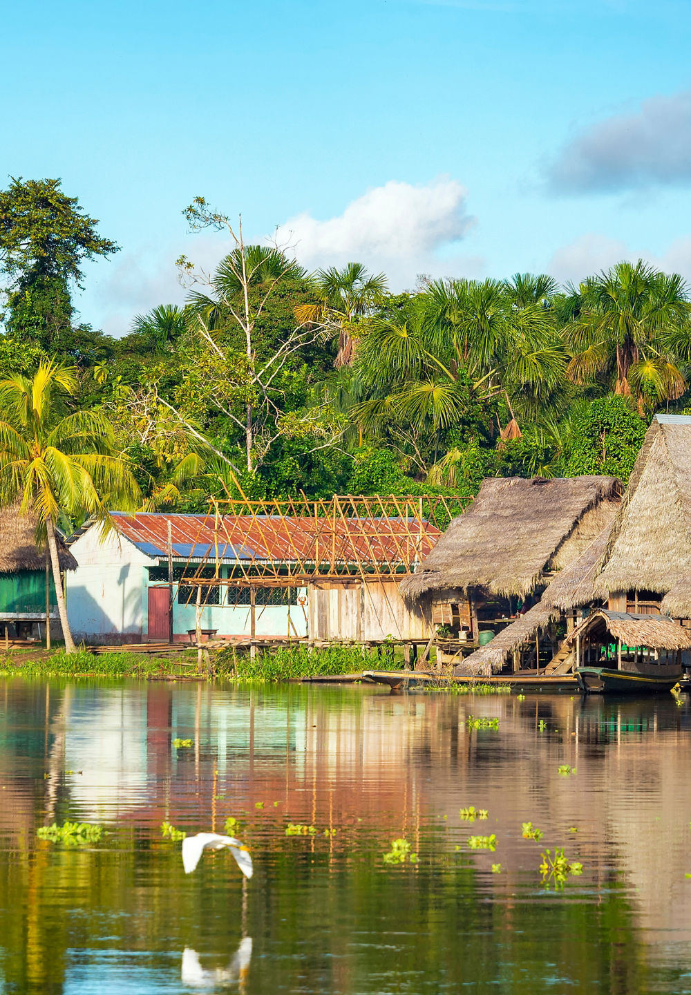 From the Caribbean to the Amazon - 2026 Itinerary - San Juan to San ...