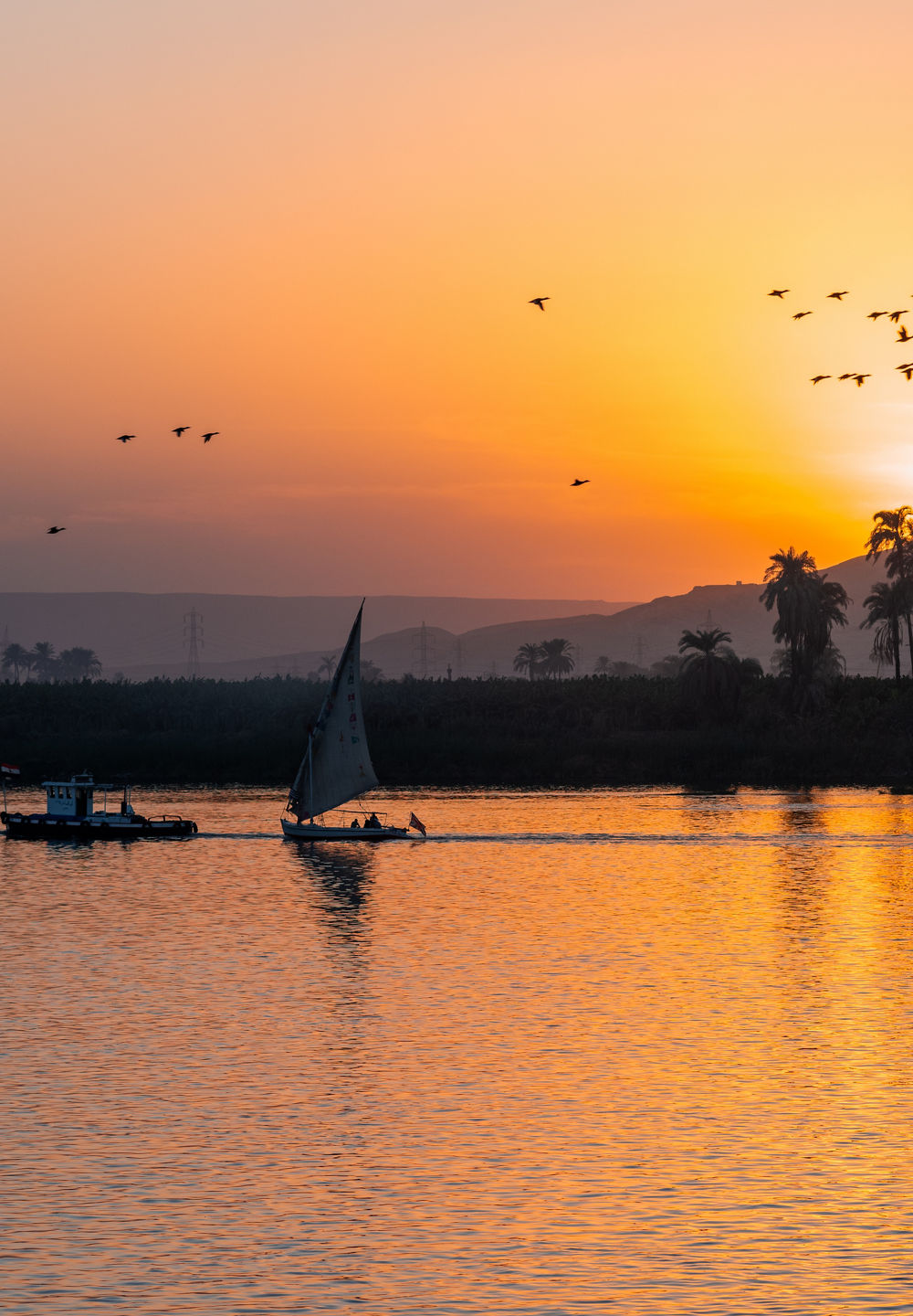 Total Eclipse on the Nile - 2027 Dates & Pricing - Cairo to Cairo | Viking®