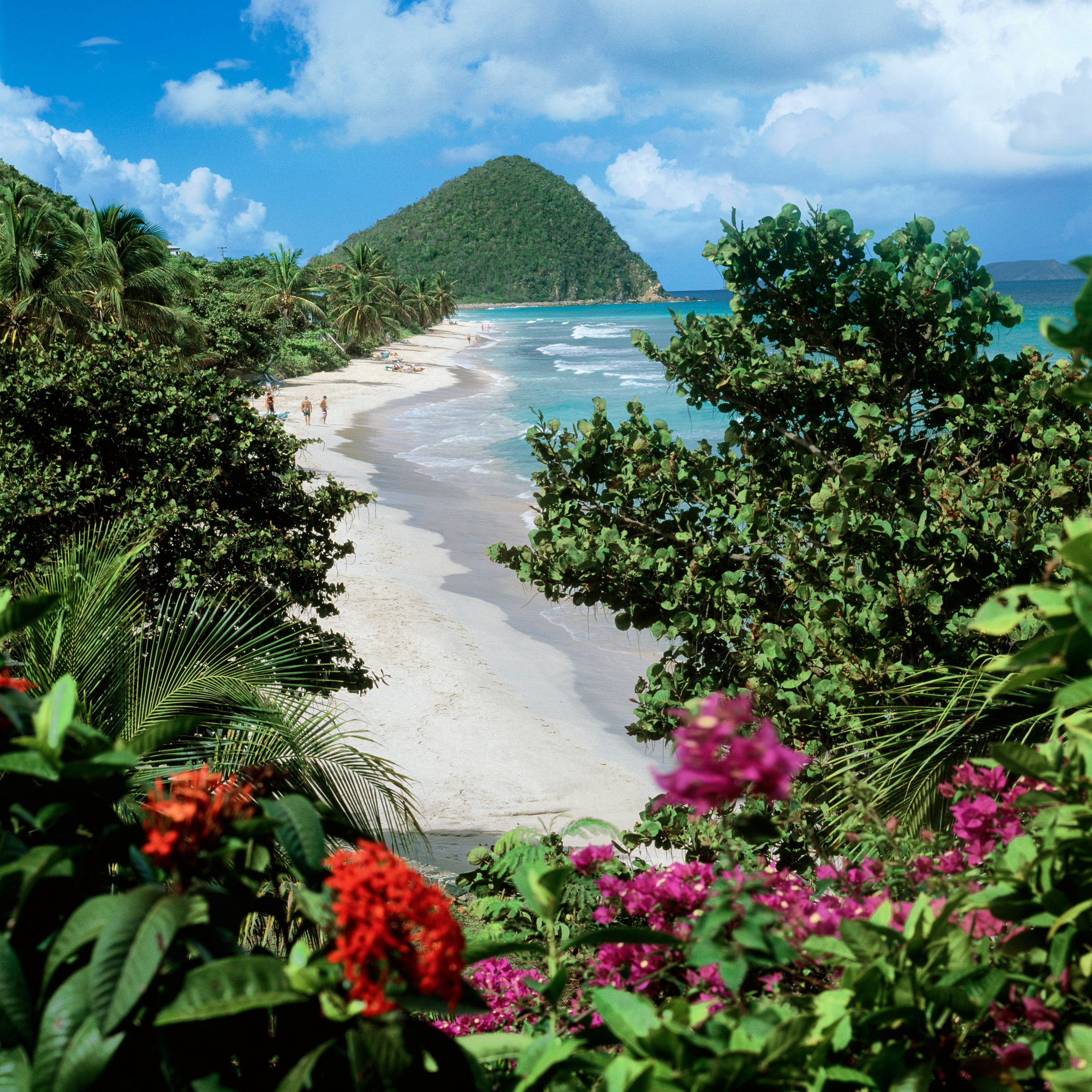 Learn About the Caribbean & Central America | Viking®
