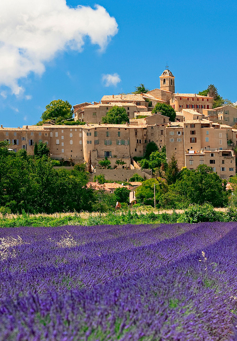 Day 8 - Avignon, Lyon & Provence - 2026 Itinerary - Lyon to Avignon