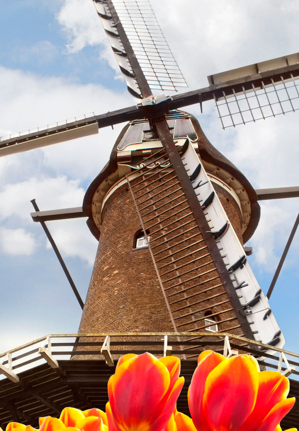Tulips & Windmills - 2027 Itinerary - Amsterdam to Amsterdam | Viking®