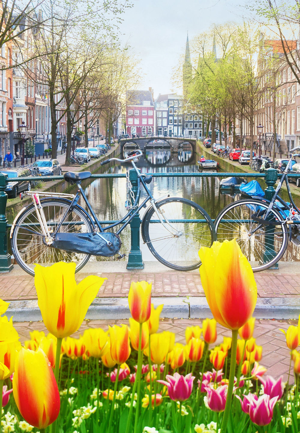Holland & Belgium - 2026 Itinerary - Amsterdam to Antwerp | Viking®