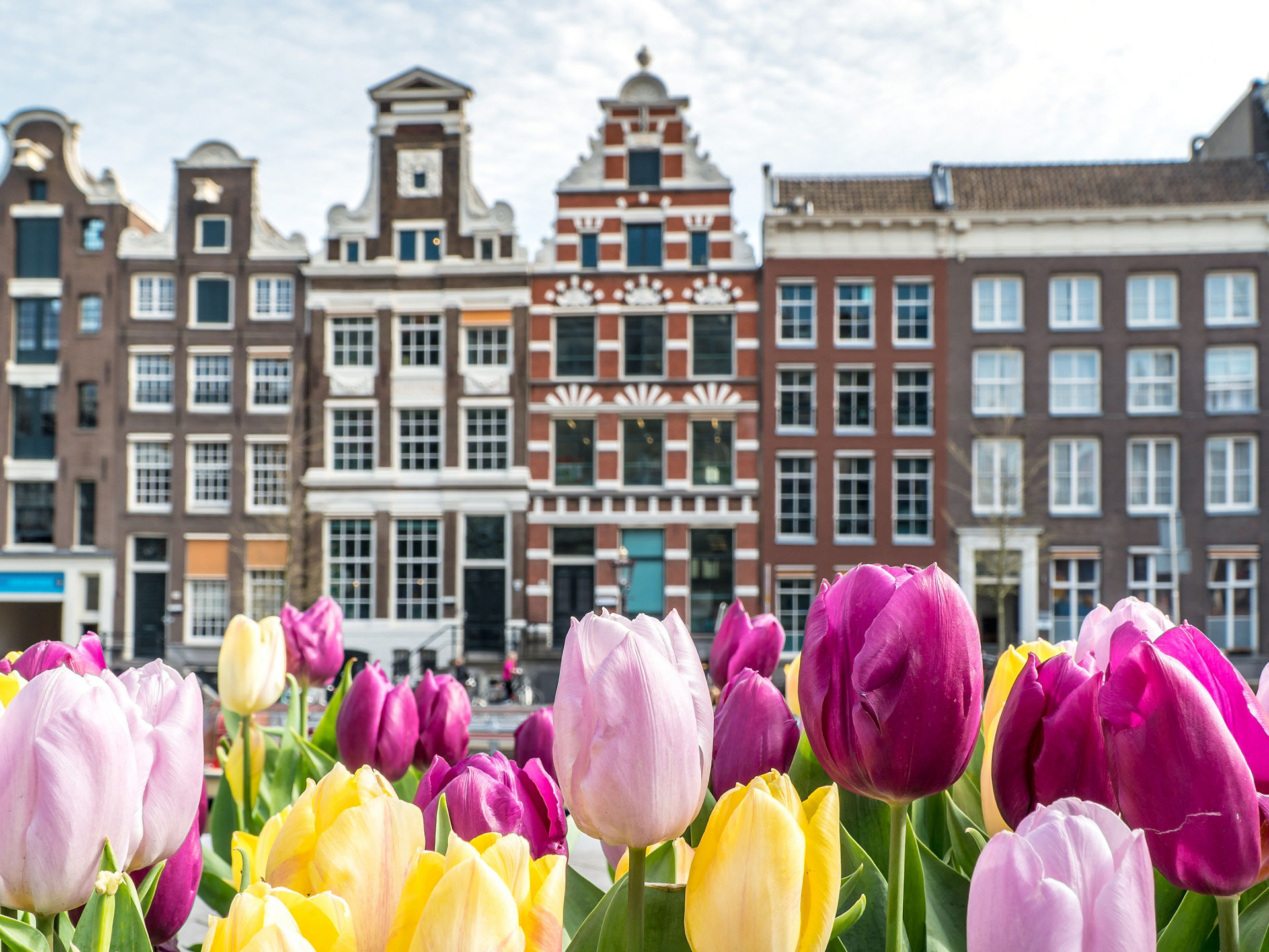 Get a glimpse into Amsterdam’s past with guest lecturer Sherry Hutt ...